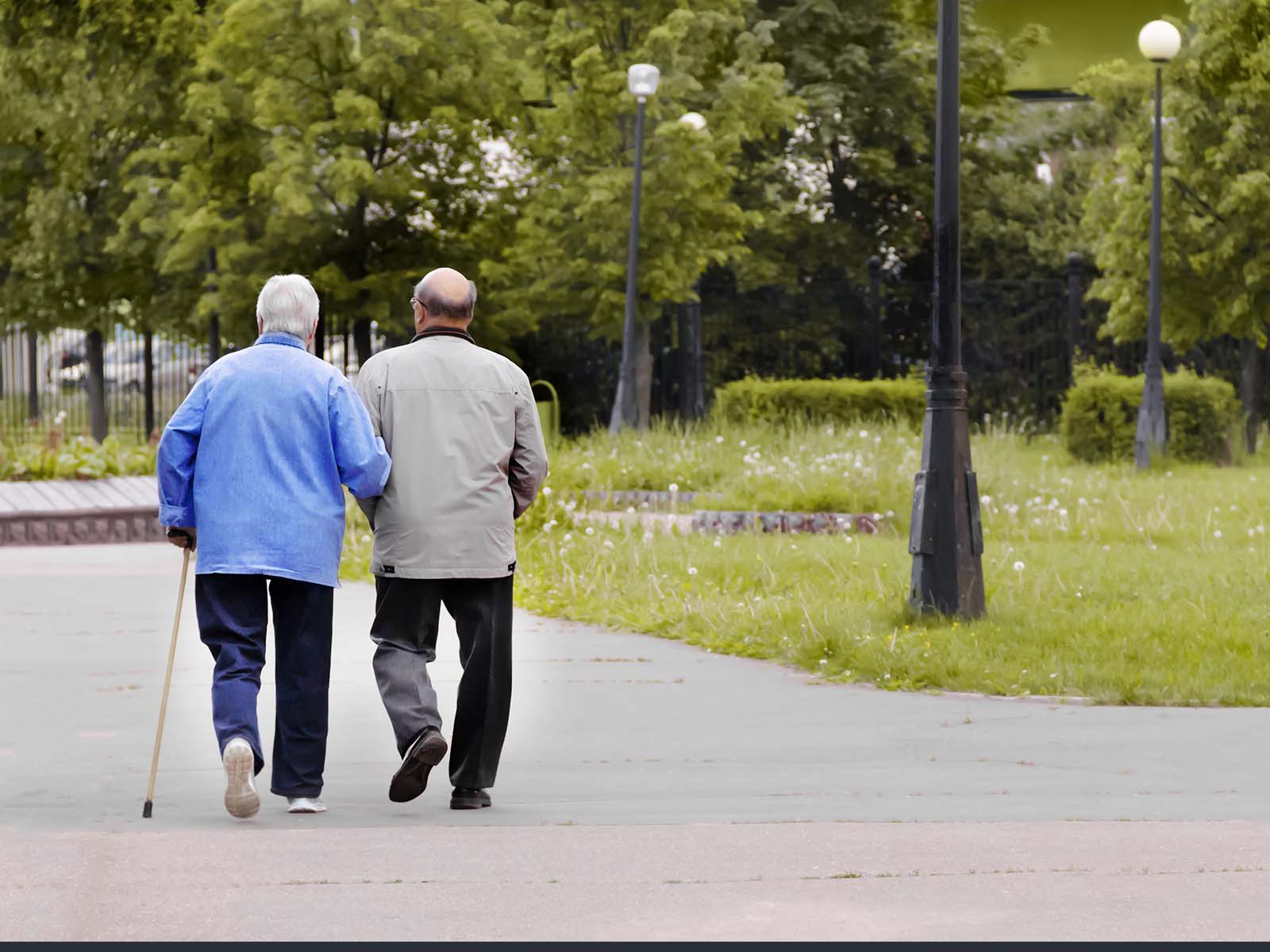 Friendly Visitor - Council on Aging - Southern California - COASC